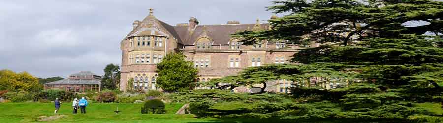 Best Knighthayes Circular Walks