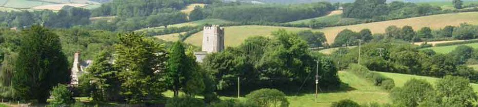 Best Circular Walks from Longdown