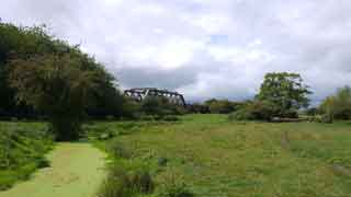 Popular Langport Walks
